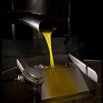 5 Reasons Why Olive Oil Comes In Different Colors