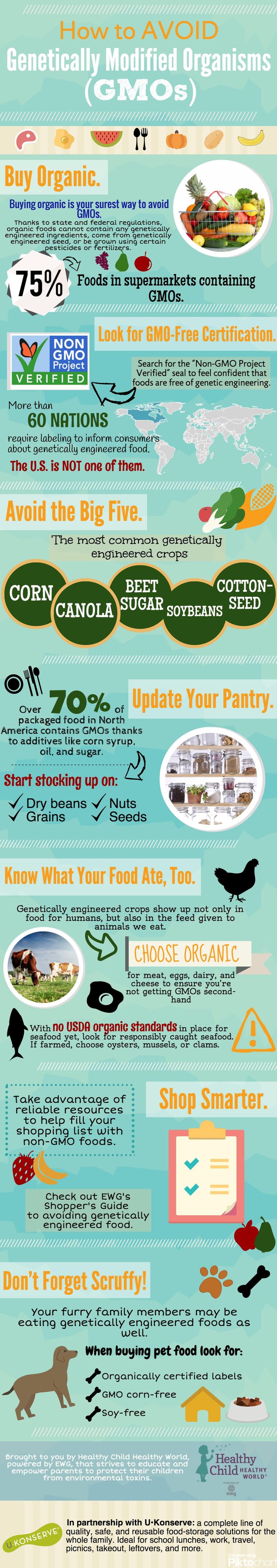 What Are GMOs And Why Do Consumers Care? 7 Inforgraphics Explain.