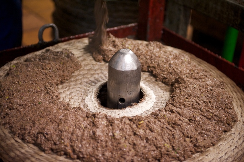 Pomace Olive Oil vs. Olive Oil